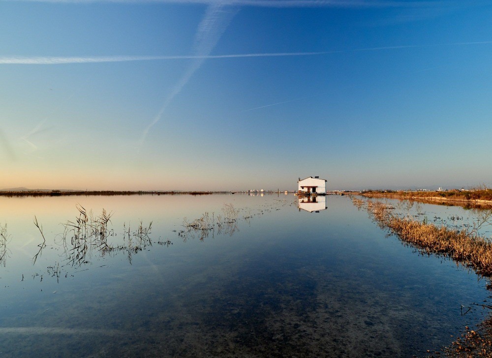 Parque Natural de l'Albufera | Proyecto Libera